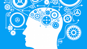 Pensamientos erróneos: cómo identificar y gestionar tus sesgos ...