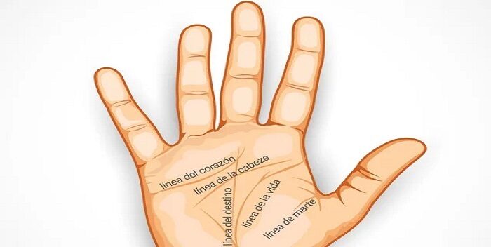 Que significa las líneas de tus manos - Notiespartano