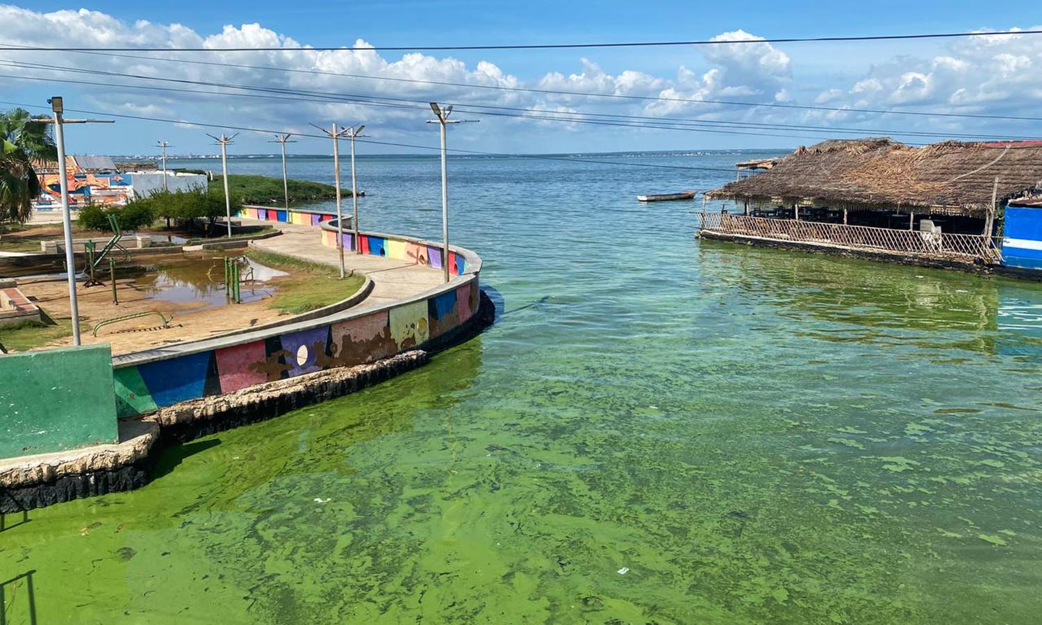 Gobierno anuncia «limpieza» de 600 playas en el Lago de Maracaibo ...