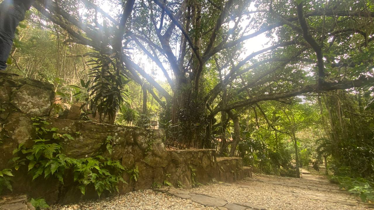 Gobernación celebra 50 aniversario del Cerro El Copey como Parque ...