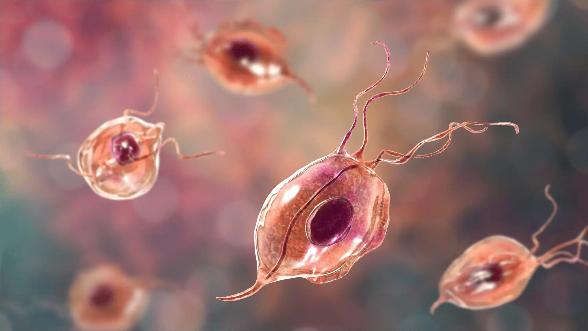 Síntomas de la Tricomoniasis - Notiespartano