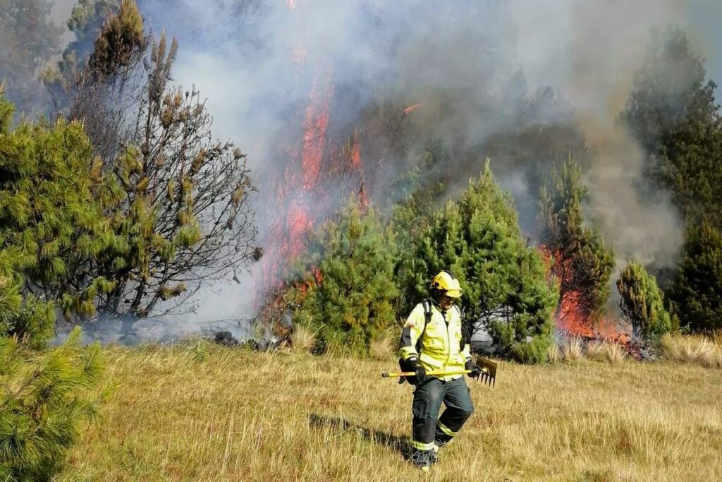 18.500 hectáreas afectadas por incendios en dos provincias de Ecuador ...